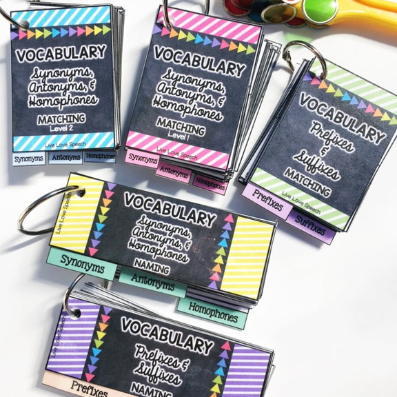 Grab N' Go Vocabulary | Leveled & Common Core Aligned | Speech Therapy ...