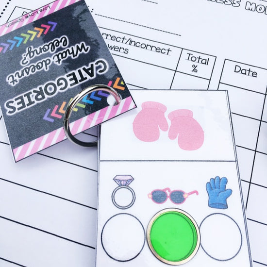 Grab N' Go Categories | Sorting, Classifying & MORE | Speech Therapy R ...