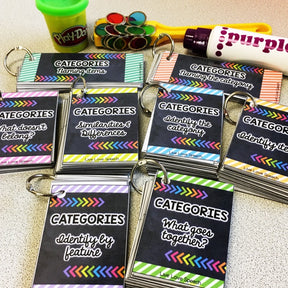 Grab N' Go Categories | Sorting, Classifying & MORE | Speech Therapy R ...